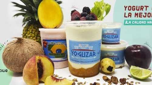 La Casa del Yogurt – Yogurtería en Colima, Col. – PanaDeriadeleite.com