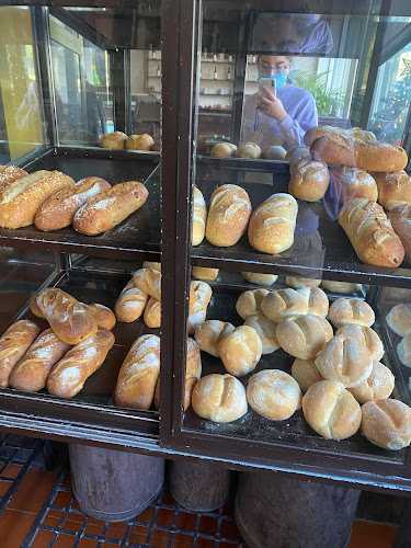 La Trufa Bakery – Panadería Selecta – Panadería en San Andrés Cholula ...