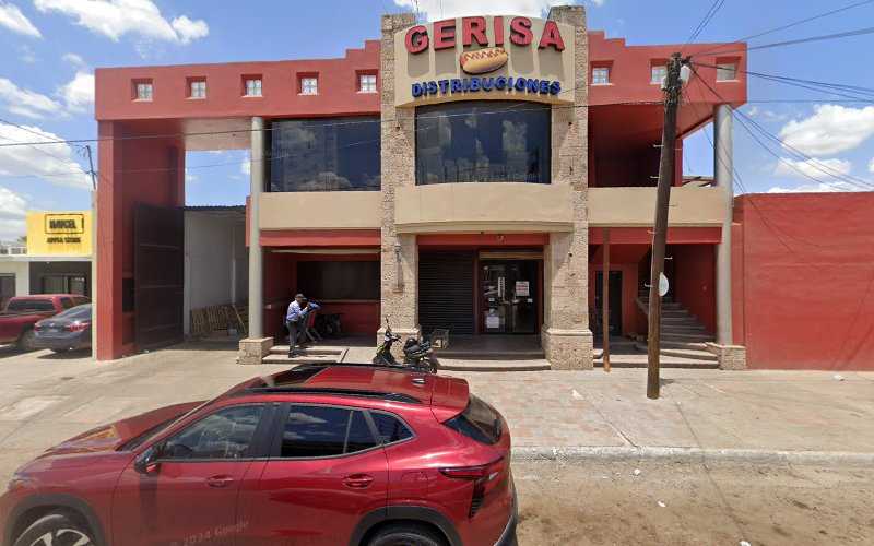 GERISA DISTRIBUCIONES – Panadería en Navojoa, Son. – PanaDeriadeleite.com
